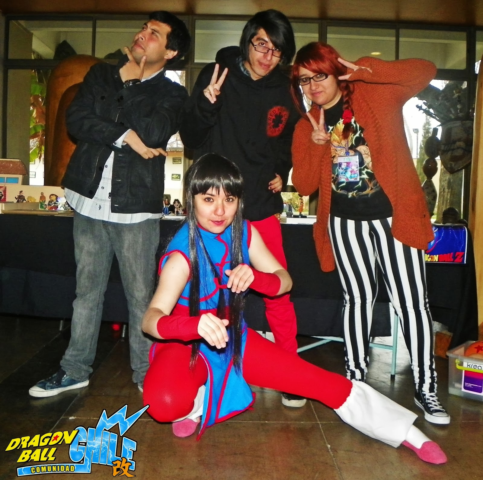 Comunidad Dragon Ball Chile: ¿Quienes somos?